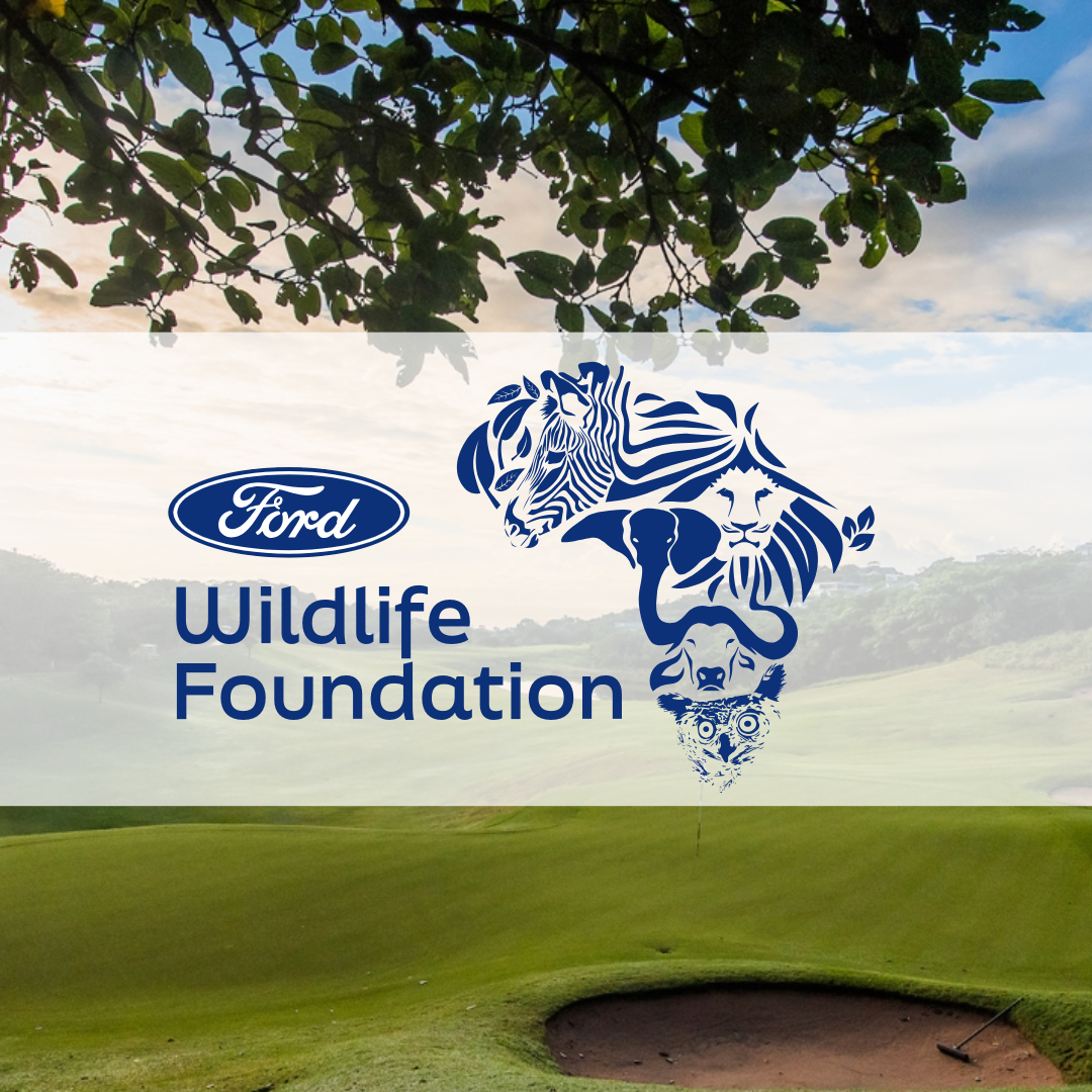 Our Sponsors - Simbithi Golf Day 2025